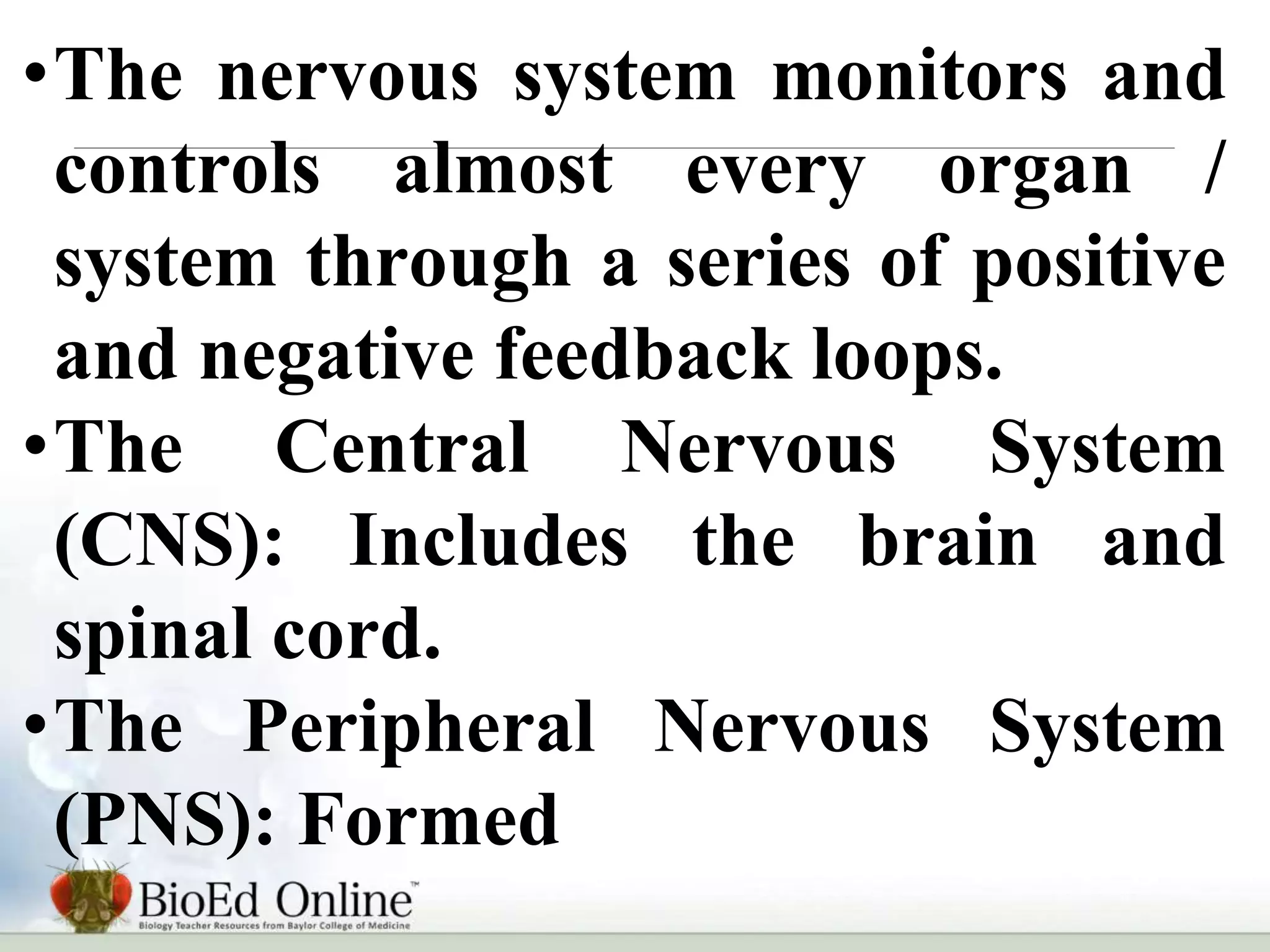 10 NERVOUS SYSTEM.pptx