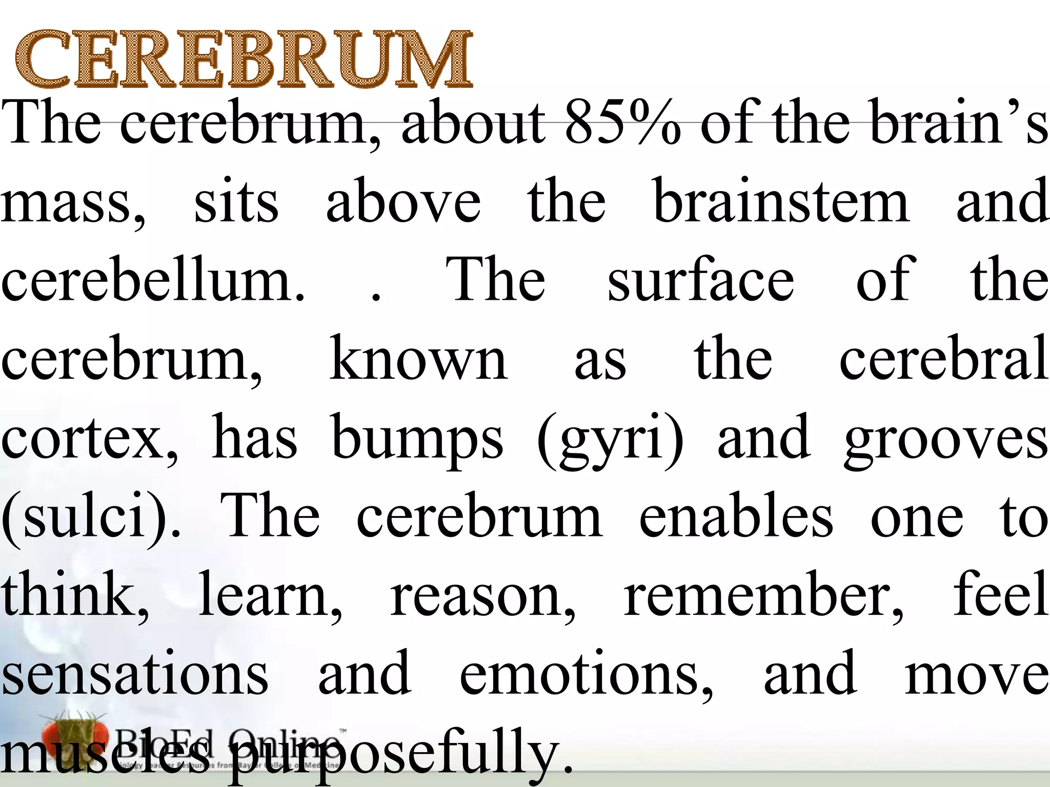 10 NERVOUS SYSTEM.pptx