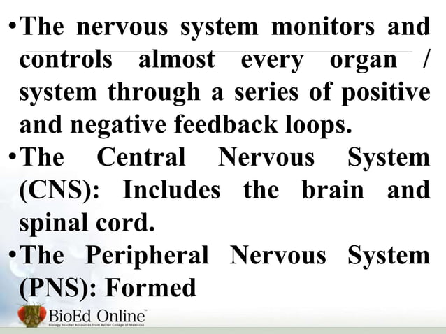 10 NERVOUS SYSTEM.pptx
