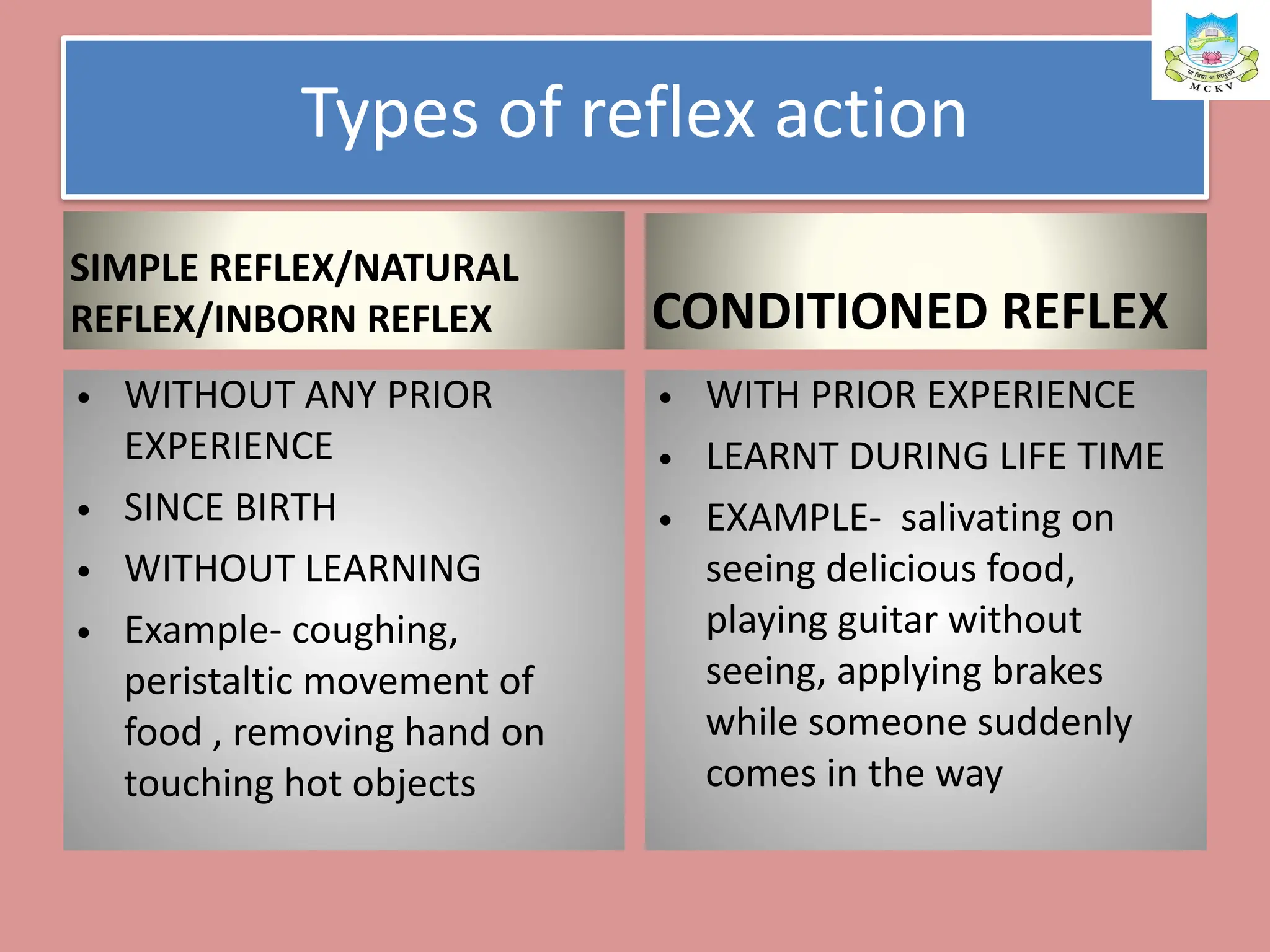 10 NERVOUS SYSTEM improves with help.pdf