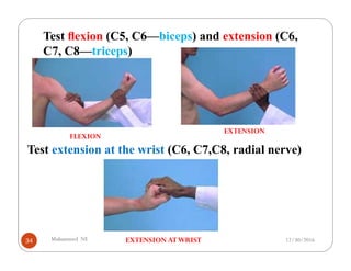10 Neurology.pdf