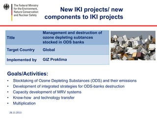 New IKI projects components contributing to the Building Blocks of a ...