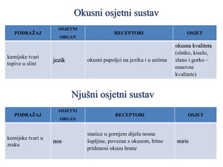 Osjetni sustavi.pptx