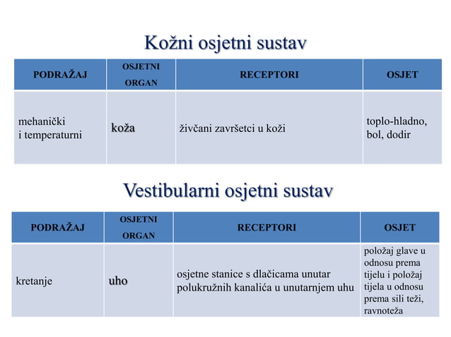 Osjetni sustavi.pptx