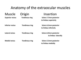 paediatric ophthalmology and strabismus | PPT