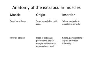 paediatric ophthalmology and strabismus | PPT