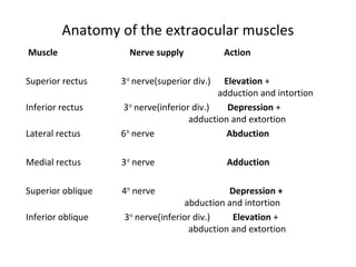 paediatric ophthalmology and strabismus | PPT