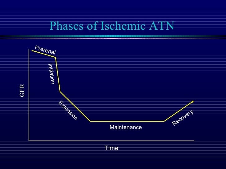 10 Palevsky Acute Renal Failure