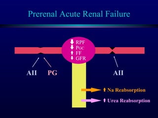 10 Palevsky Acute Renal Failure | PPT