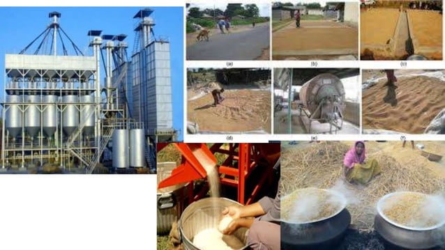 10 parboiling of rice.pptx | Cooking | Food & Drink