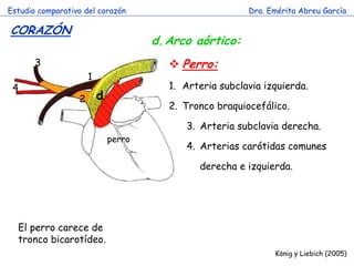 10 pared y cavidad toracica comparada | PDF