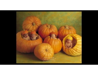 The First Five Years Lasts a Lifetime – Ann Taylor | PDF