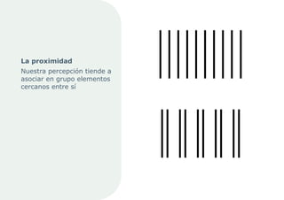 10. La Percepción Visual | PDF