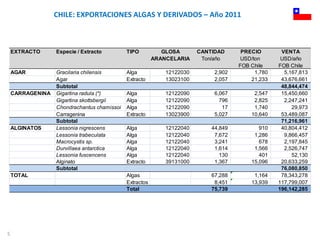 10 perspectivas para_el_desarrollo_de_las_algas_en_chile | PPT