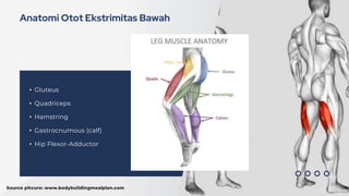 10 Pertemuan 10- Panduan Latihan Kekuatan Otot Ekstrimitas Bawah ...