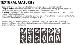 Petrology for sedimentary types of rocks petrology | PPTX