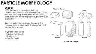 Petrology for sedimentary types of rocks petrology | PPTX