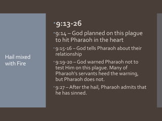 The 10 plagues | PPTX