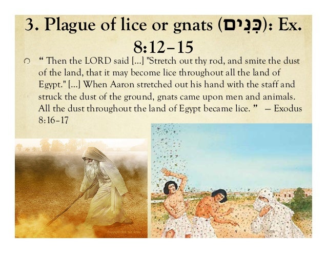 10 plagues slide.pptx