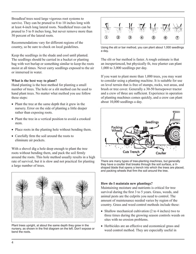 10_Plant_Trees_Tips_Sheet.pdf