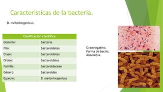 10 pododermatitis (paulino) (1) | PPTX