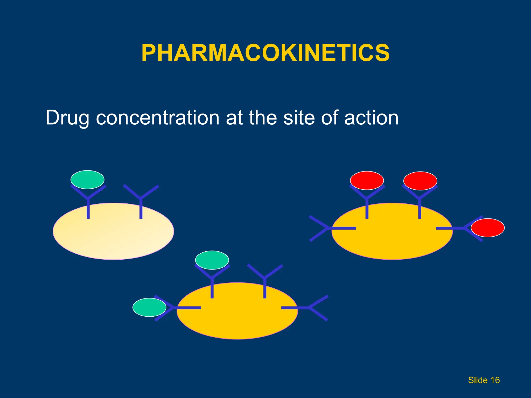 10_Polypharmacy_Overview_and_Principles.ppt