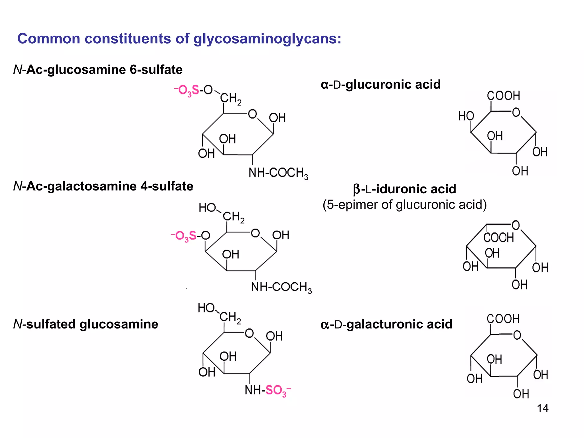 10 polysacch. _heteroglycosides__nucleic_acids | PPT
