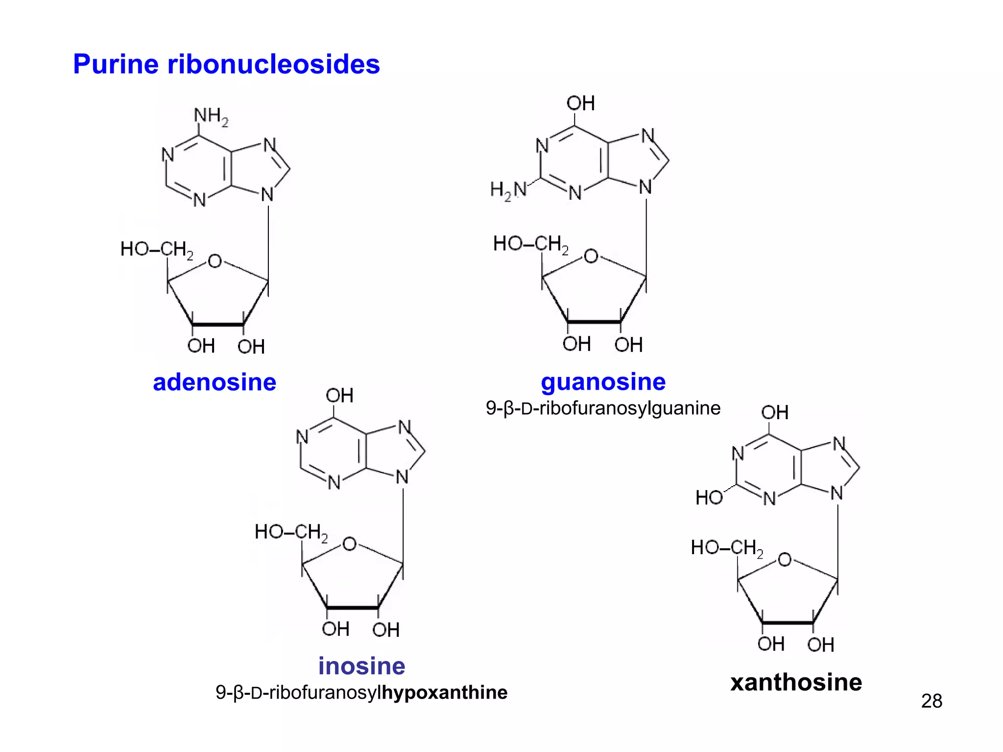 10 polysacch. _heteroglycosides__nucleic_acids | PPT