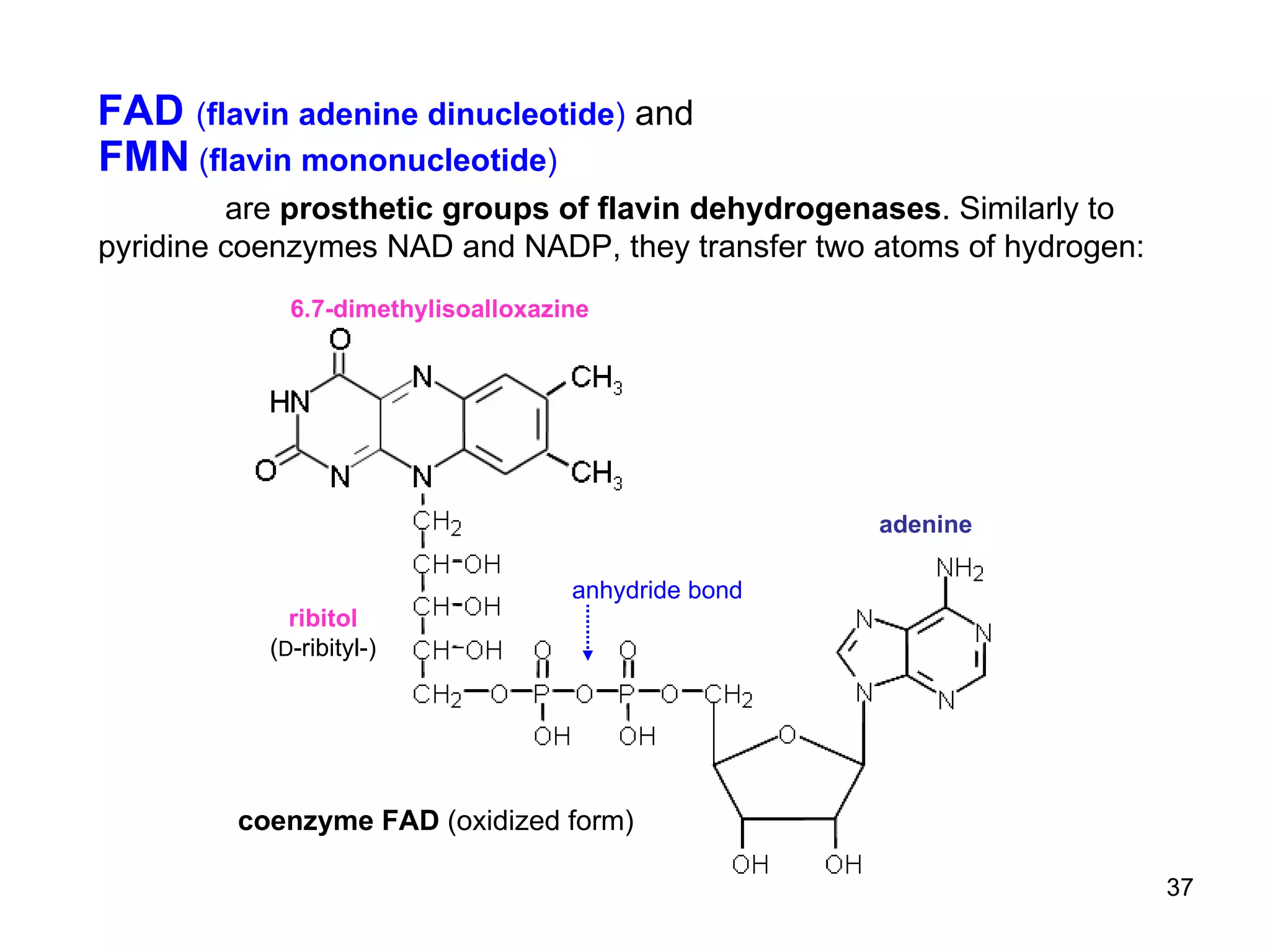 10 polysacch. _heteroglycosides__nucleic_acids | PPT