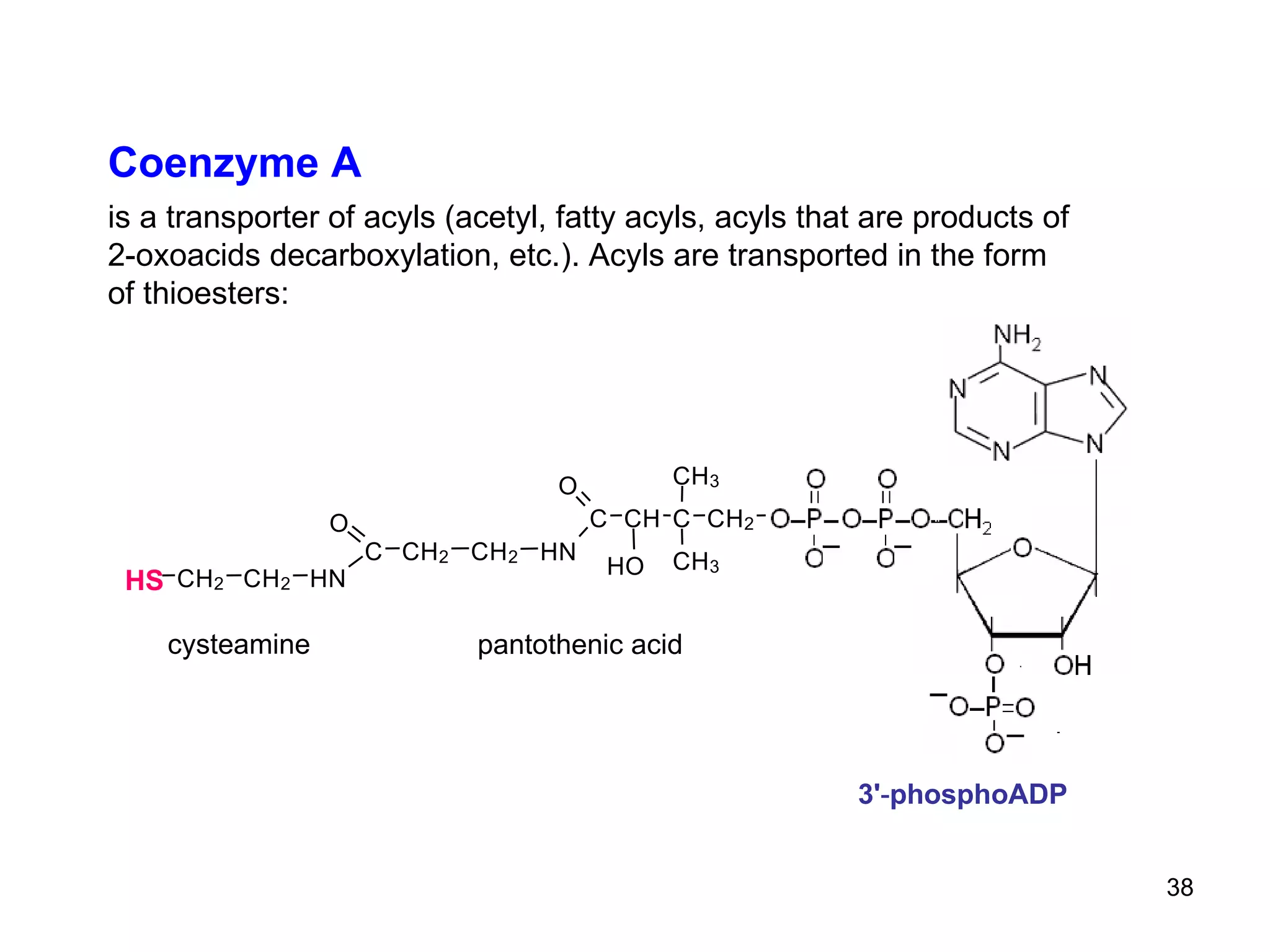 10 polysacch. _heteroglycosides__nucleic_acids | PPT