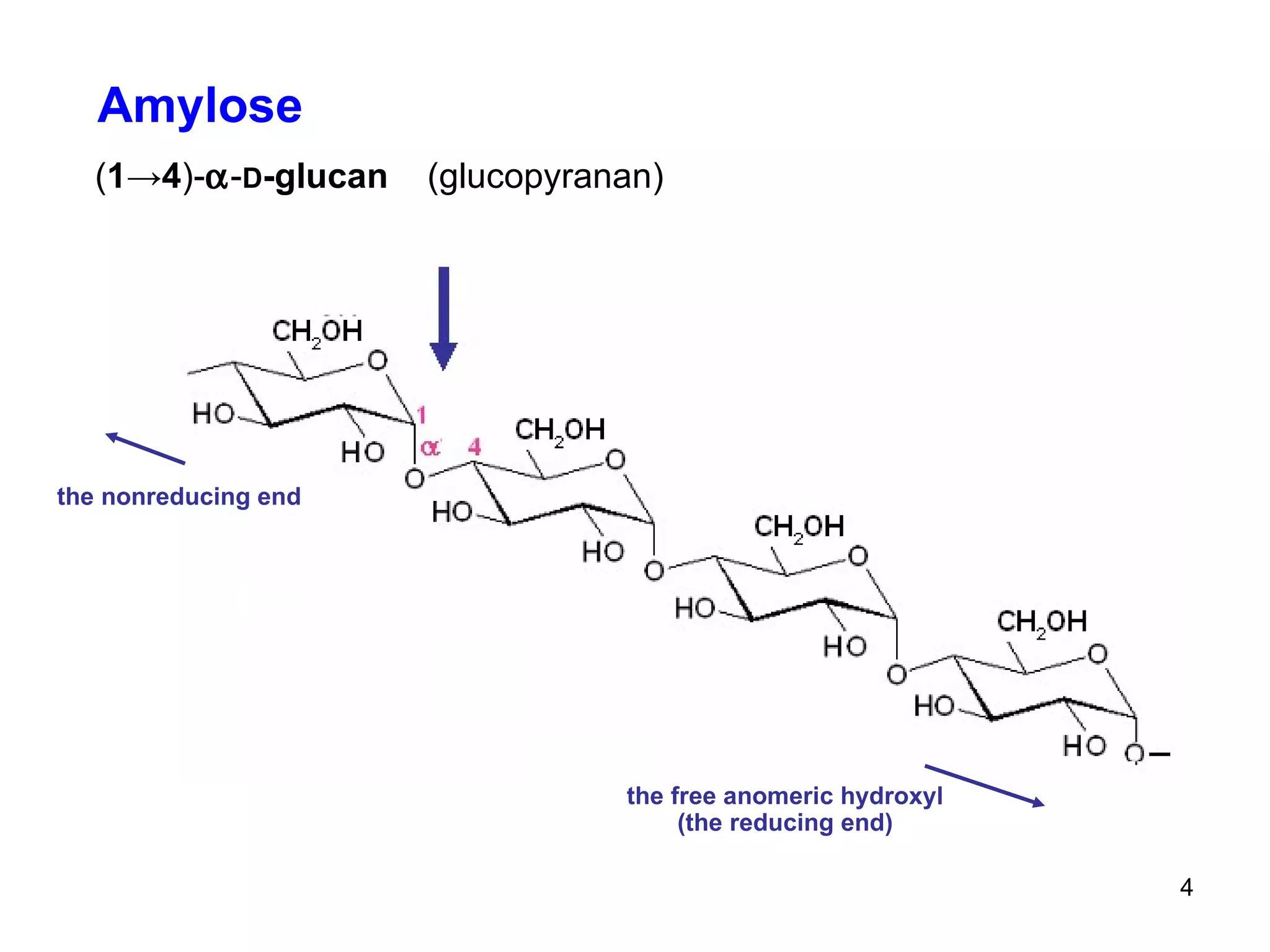 10 polysacch. _heteroglycosides__nucleic_acids | PPT