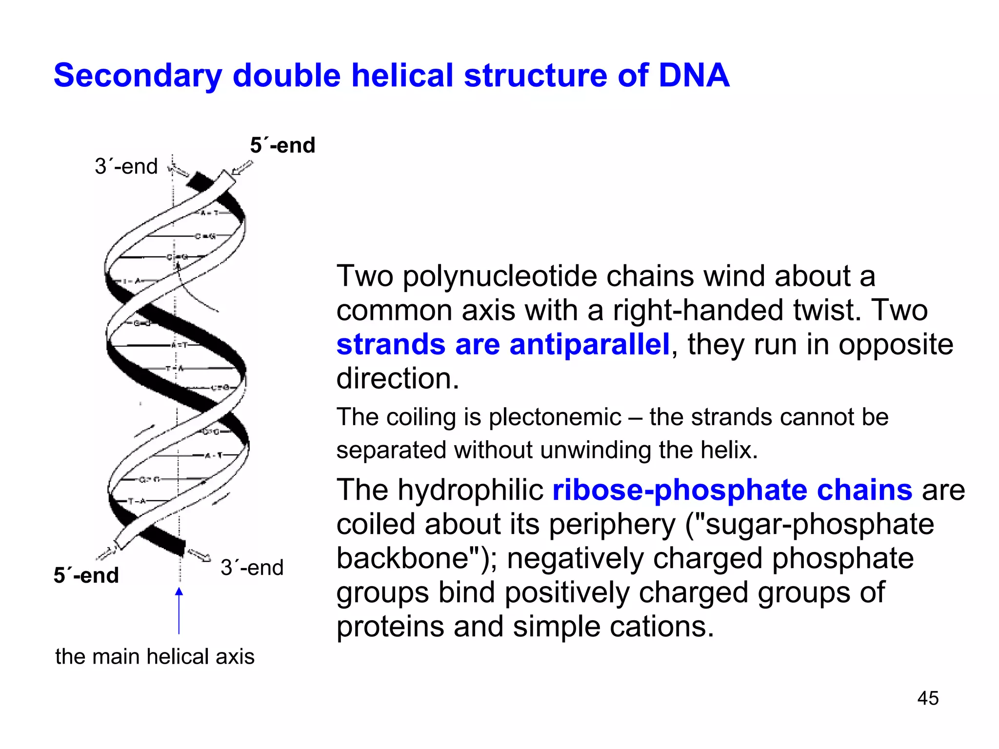 10 polysacch. _heteroglycosides__nucleic_acids | PPT