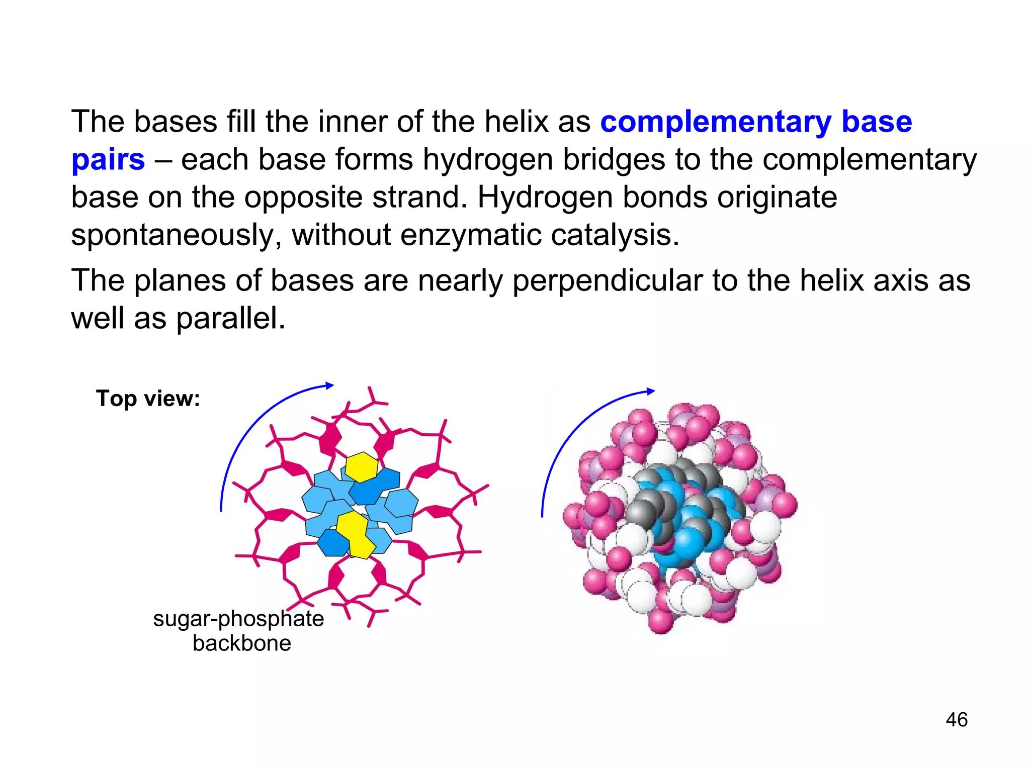 10 polysacch. _heteroglycosides__nucleic_acids | PPT