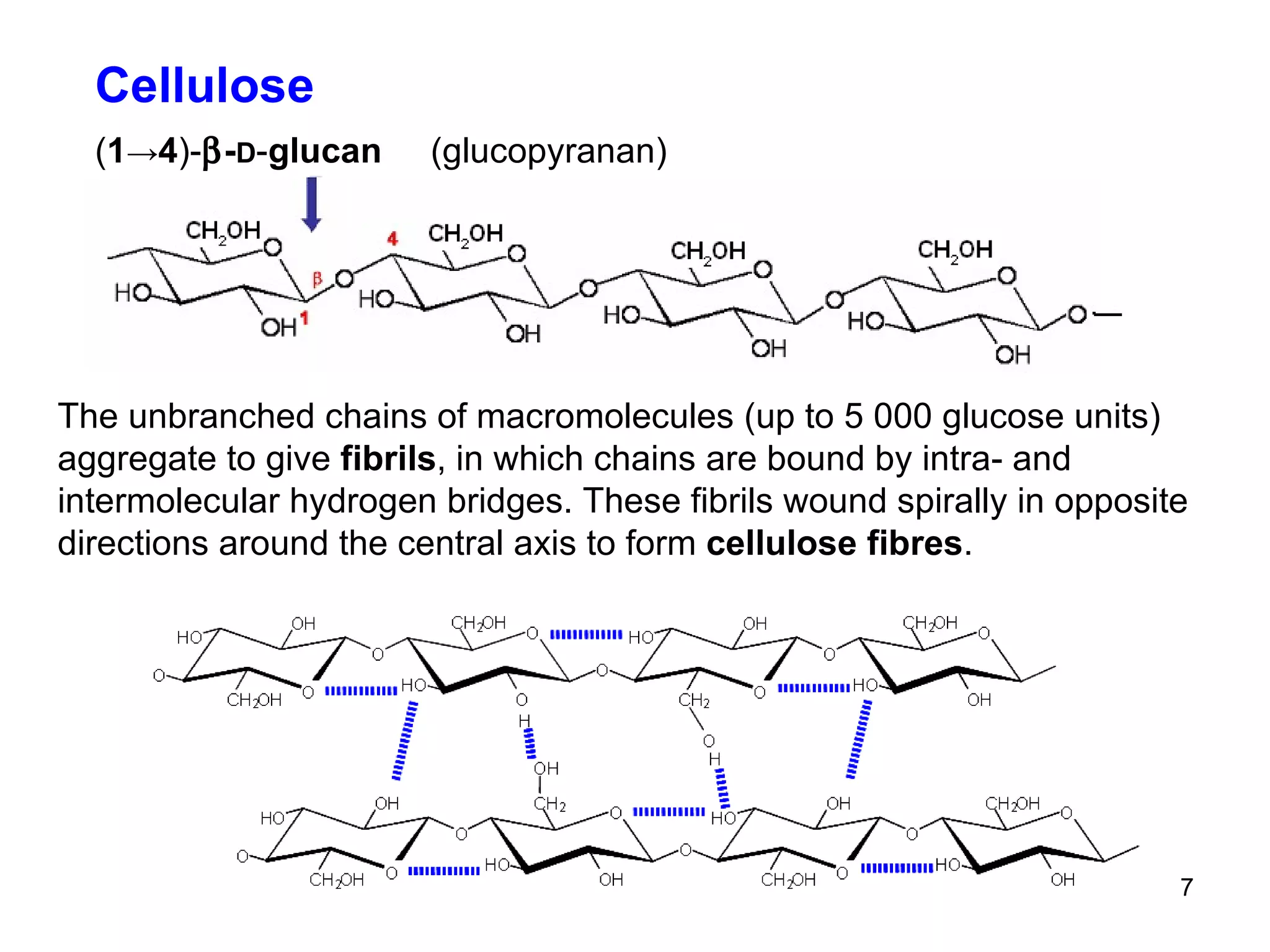 10 polysacch. _heteroglycosides__nucleic_acids | PPT