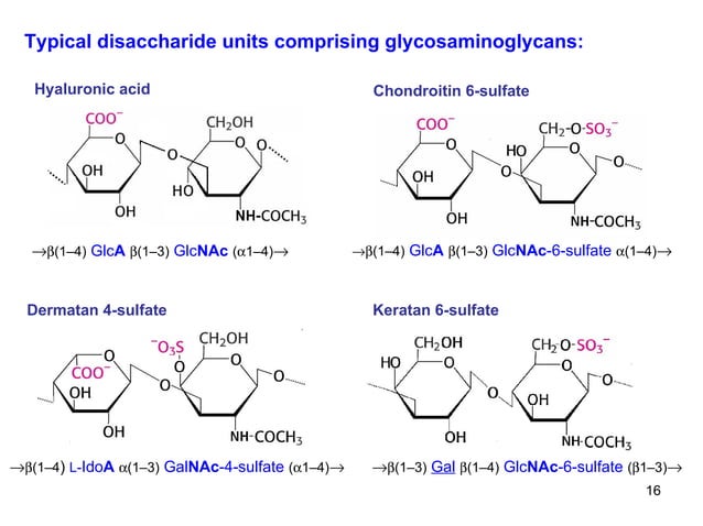 10 polysacch. _heteroglycosides__nucleic_acids | PPT