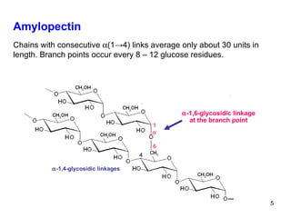10 polysacch. _heteroglycosides__nucleic_acids | PPT