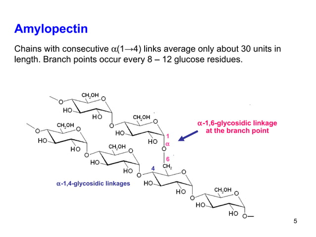 10 polysacch. _heteroglycosides__nucleic_acids | PPT