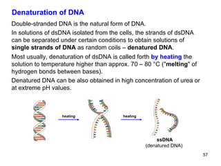 10 polysacch. _heteroglycosides__nucleic_acids | PPT