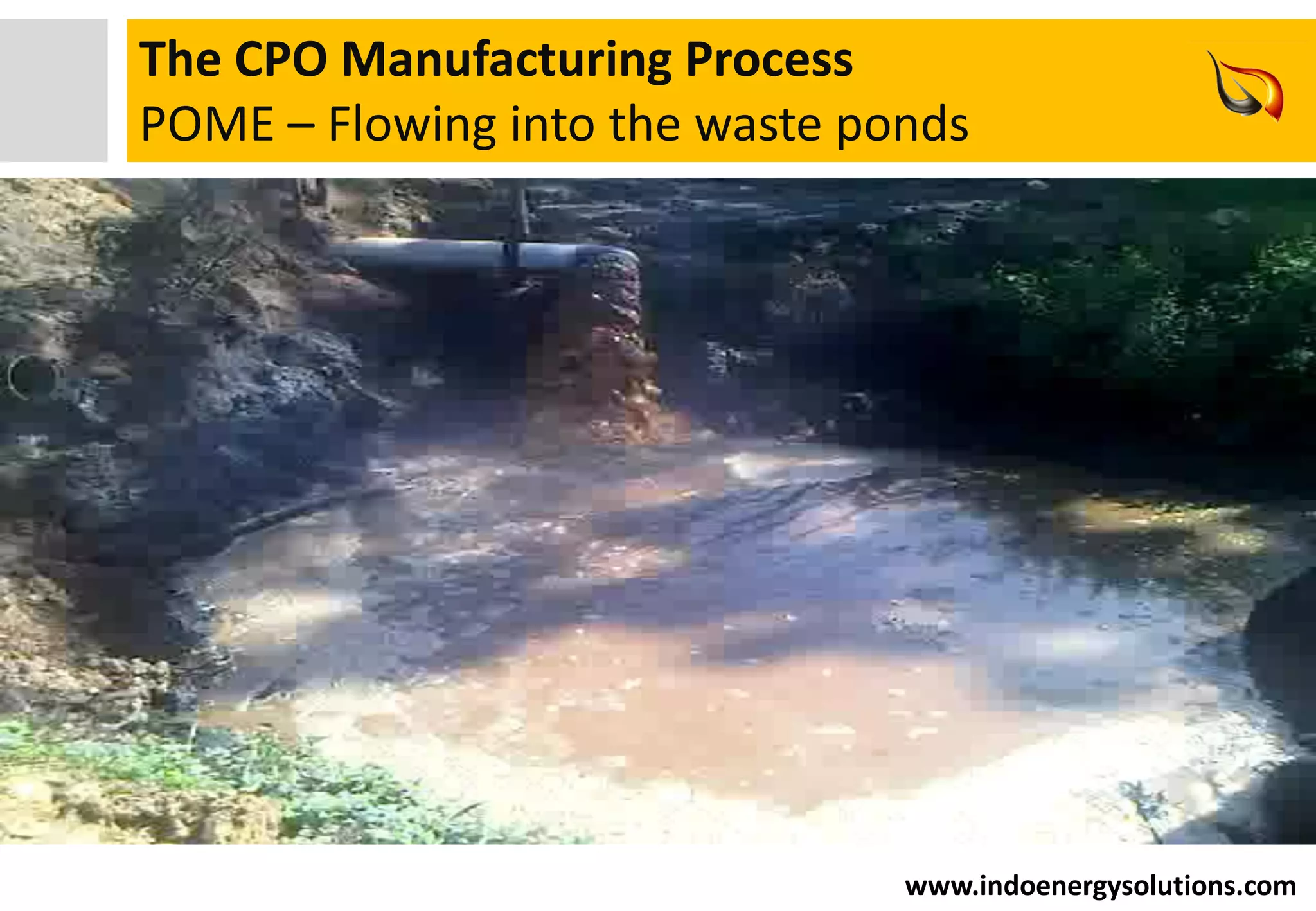 POME-Sustainable-Renewable-Energy-Feedstock | PDF