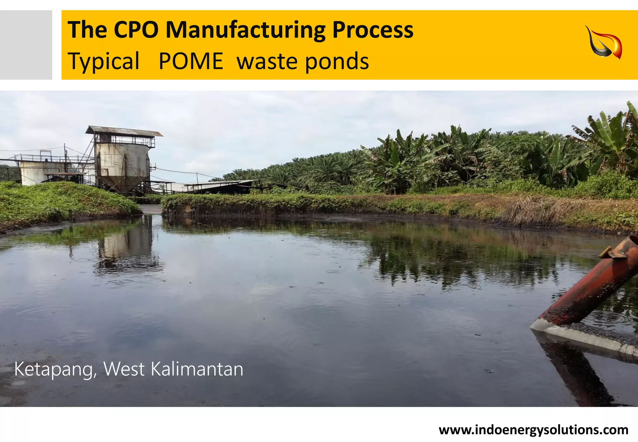 POME-Sustainable-Renewable-Energy-Feedstock | PDF