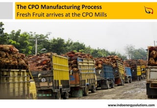 POME-Sustainable-Renewable-Energy-Feedstock | PDF