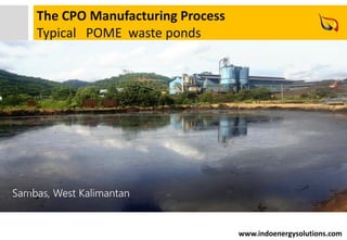 POME-Sustainable-Renewable-Energy-Feedstock | PDF