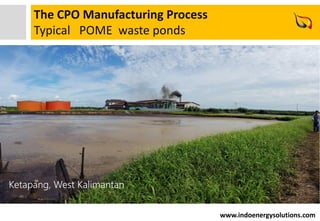 POME-Sustainable-Renewable-Energy-Feedstock | PDF