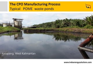 POME-Sustainable-Renewable-Energy-Feedstock | PDF