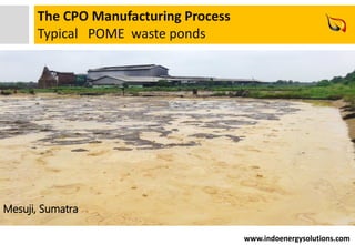 POME-Sustainable-Renewable-Energy-Feedstock | PDF