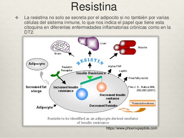 Correlación entre el índice cardiovascular y resistina en pacientes c…