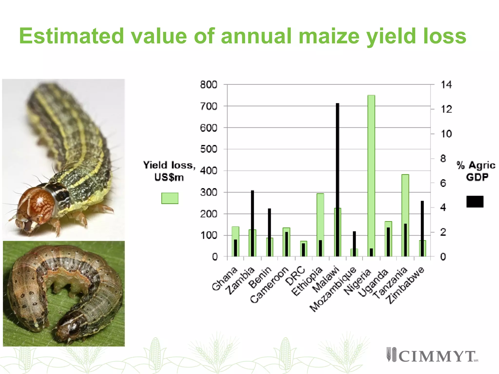 Tackling the Fall Armyworm Crisis in Africa through Accelerated ...