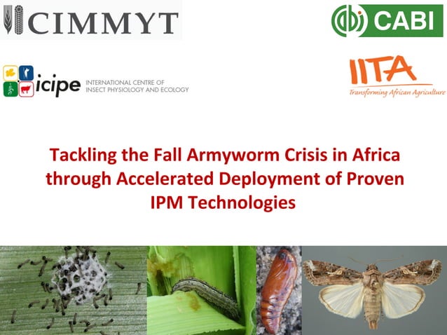 Tackling the Fall Armyworm Crisis in Africa through Accelerated Deployment of Proven IPM ...