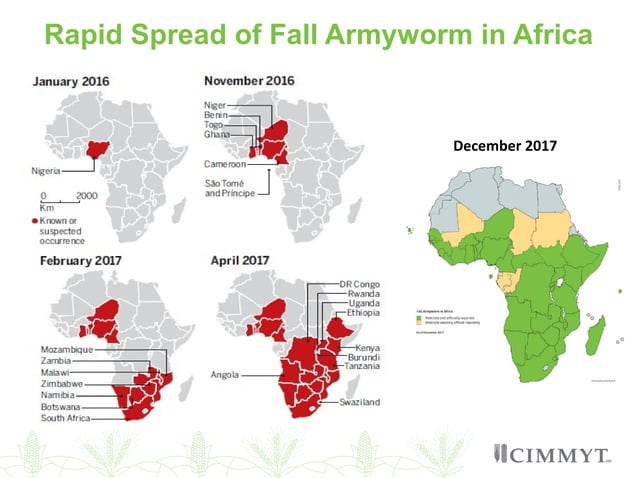 Tackling the Fall Armyworm Crisis in Africa through Accelerated Deployment of Proven IPM ...