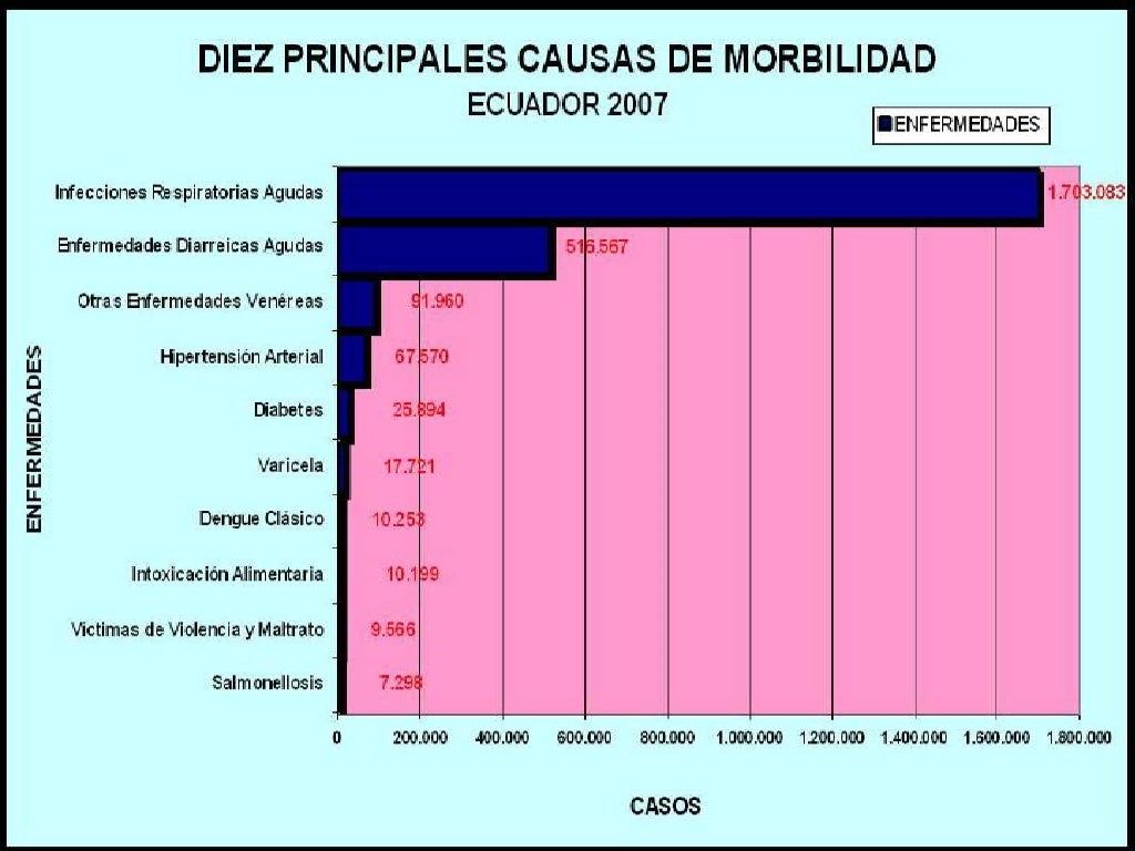 10 Principales Causas Morbilidad 07